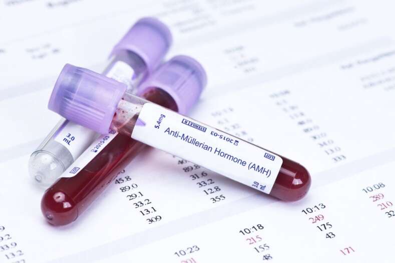 Fertility Blood Tests: All You Need To Know - Omega Golden Fertility Clinic